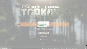 tarkov crash