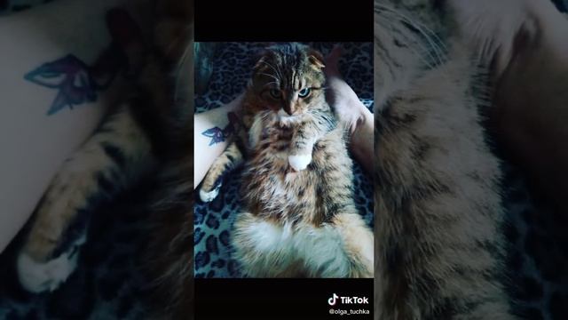 привет от Каспера