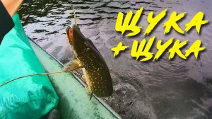 #23 Щуки озера Верховское |  Засолка щук и уха из щук | Канда - Кукса 2020