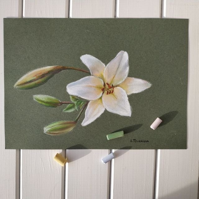 Обзор картины Белая лилия,сухая пастель