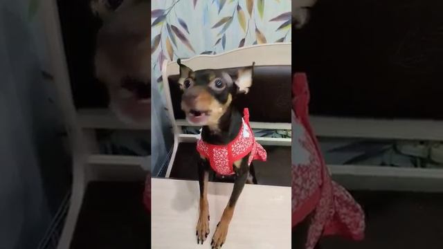 1000024561.mp4
