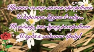 Доброе утро, Мама!☀️видео открытка с красивым стихотворением