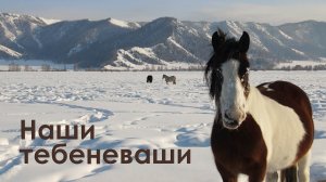 Наши тебеневаши