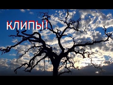 Клипы для Влогеров.