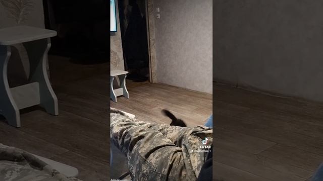 Бублик разминается)