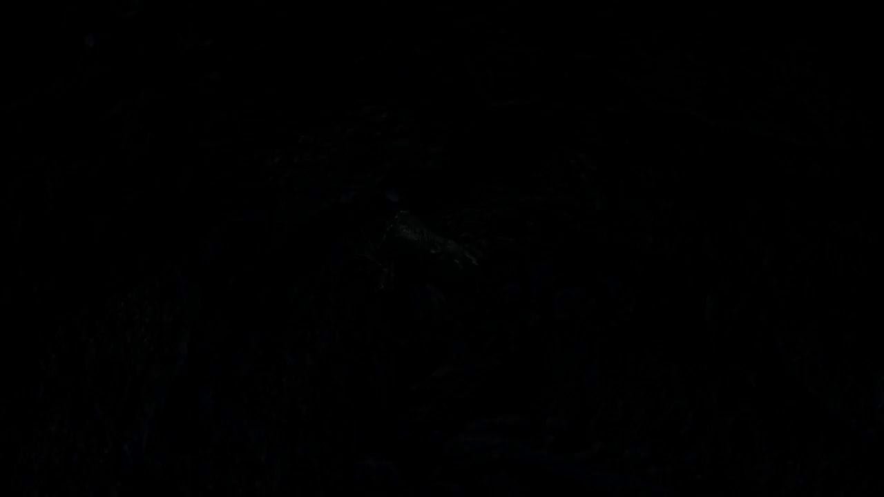 DARK SOULS (PS4)