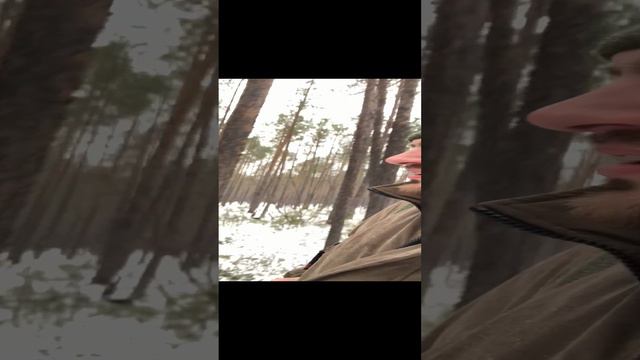 Погулял в лесу