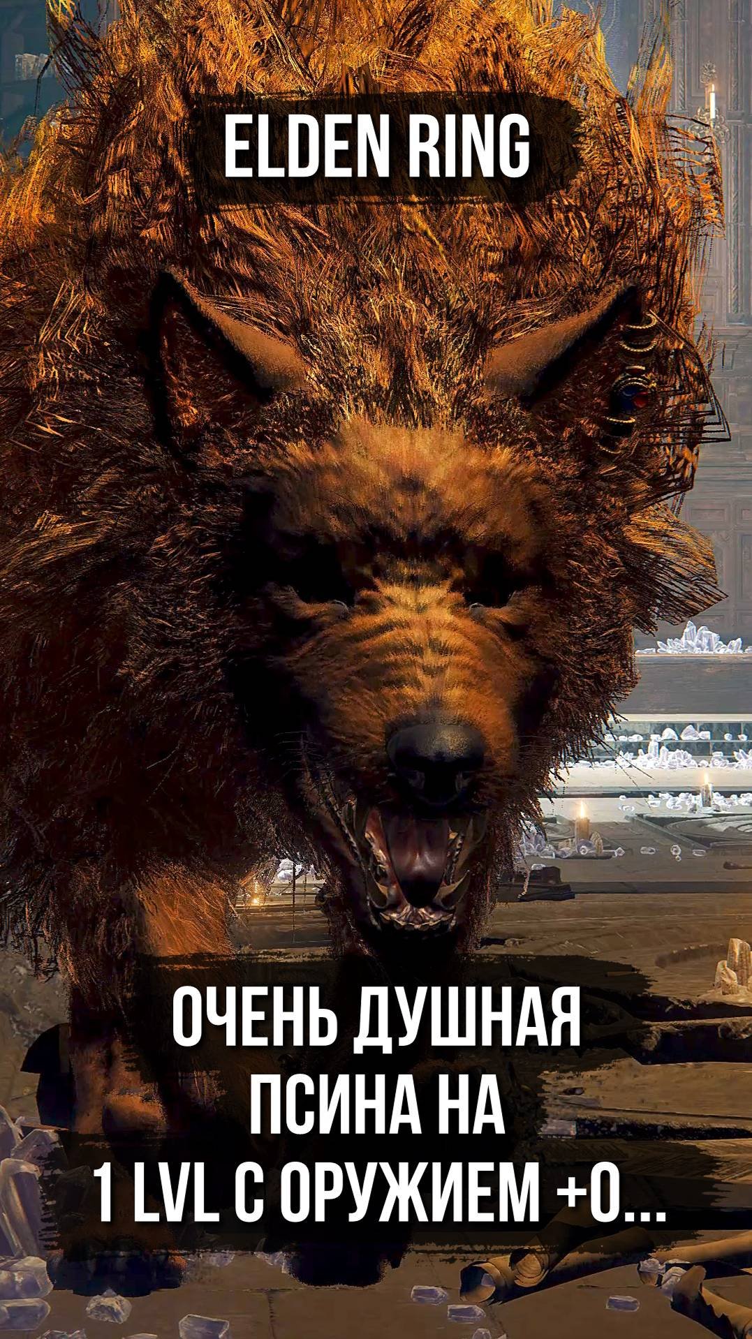 Алый волк Радагона... просто душниная псина [RL1+0, No-Hit] ▼ Elden Ring