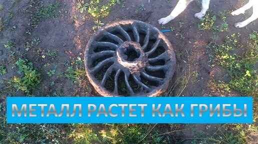 НОВЫЙ МЕТАЛЛОИСКАТЕЛЬ ЗДЕСЬ ТЯЖЕЛОГО МЕТАЛЛА ХВАТИТ НА ВСЕХ. Часть 1.