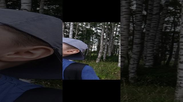 Фадей