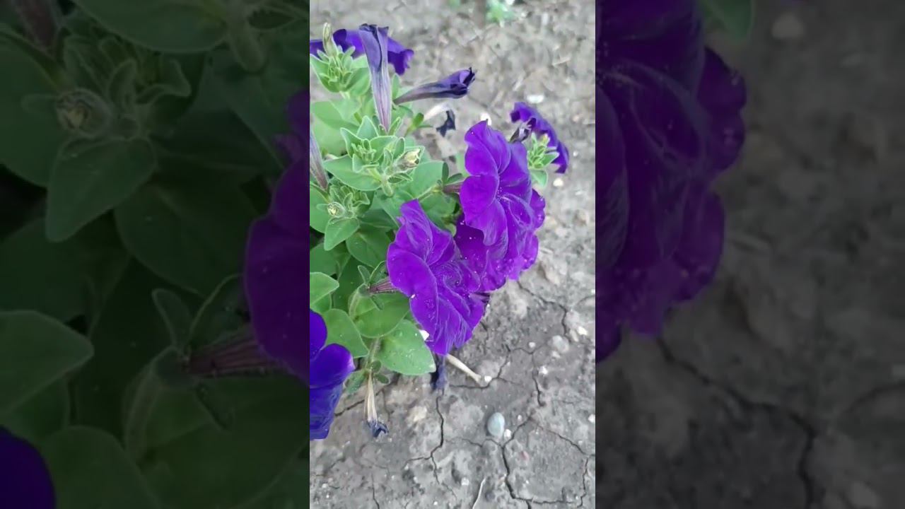 БРАЖНИК добро пожаловать!