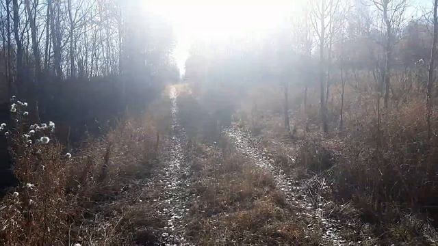 Едем на заброшенные дачи.Ролик от 14.10.2021г.mp4