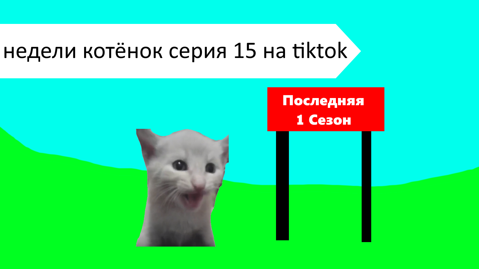 Недели котёнок серия 15 на tiktok