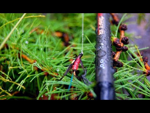 Фестиваль Сибирский Нахлыст 2017.