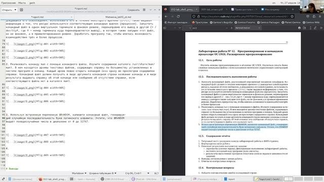 Отчет_лаб12