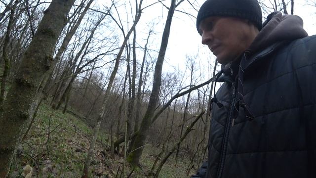 Поход в весенний лес.