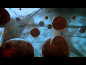 Тайная Вселенная: Путешествие внутрь клетки (Secret Universe: Journey Inside the Cell)