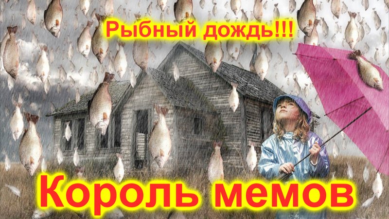 ПРИКОЛЫ НА РЫБАЛКЕ-рыбный дождь/КОРОЛЬ МЕМОВ