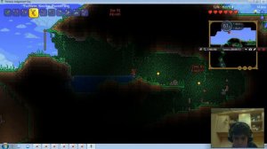 новогодняя террария с ануровым 3