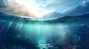 BLUE - MUSIC OF THE OCEAN _ Beautiful Orchestral Music Mix