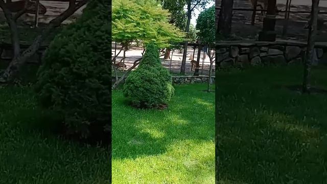 Парк Лога. хутор Старая станица. 1 часть.