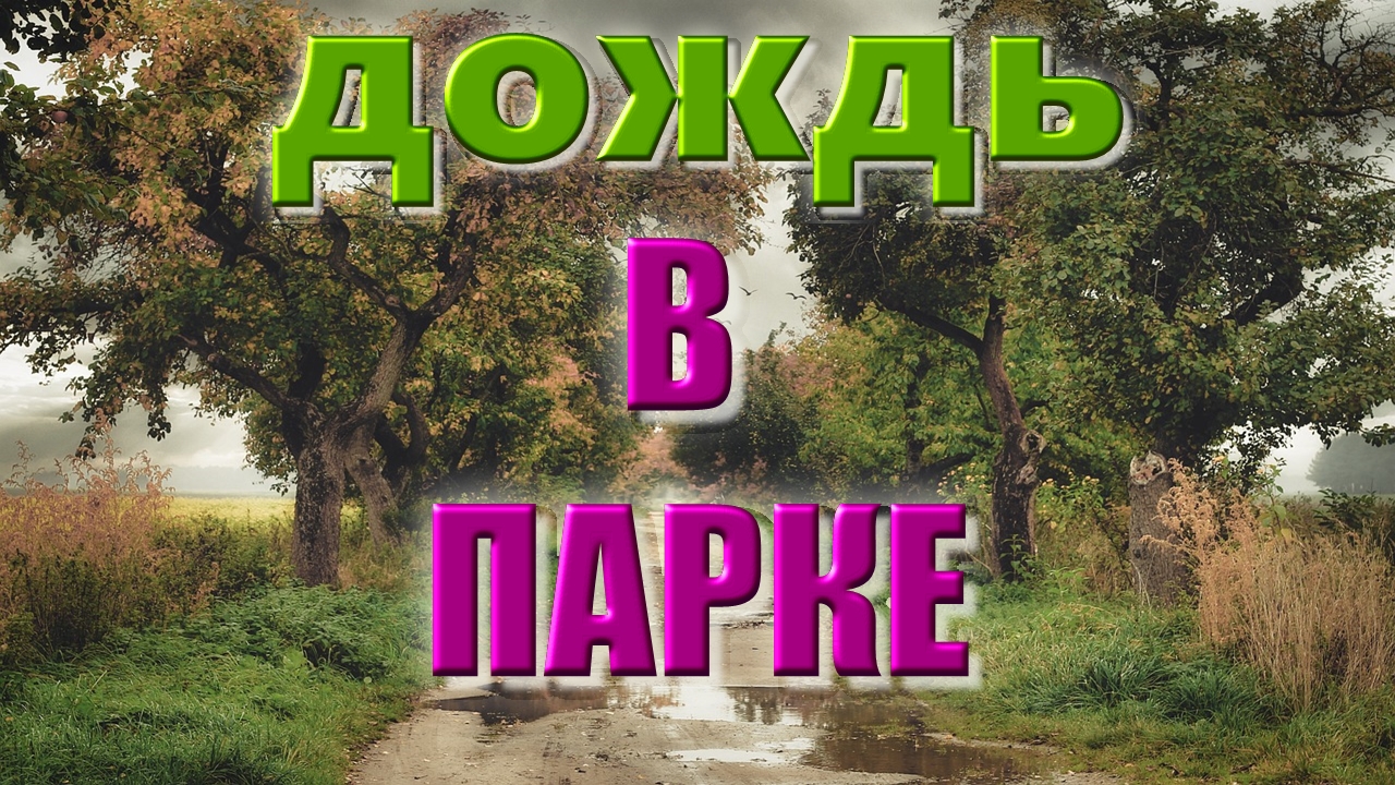 ЗВУКИ ПРИРОДЫ ДОЖДЯ.  ASMR  (белый шум). Лучшее средство от бессонницы!
