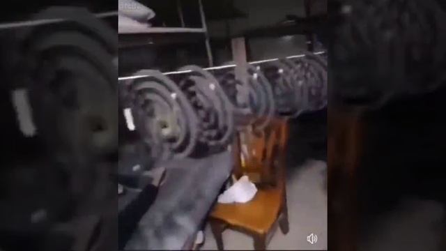 Китайские методы борьбы с комарами.
