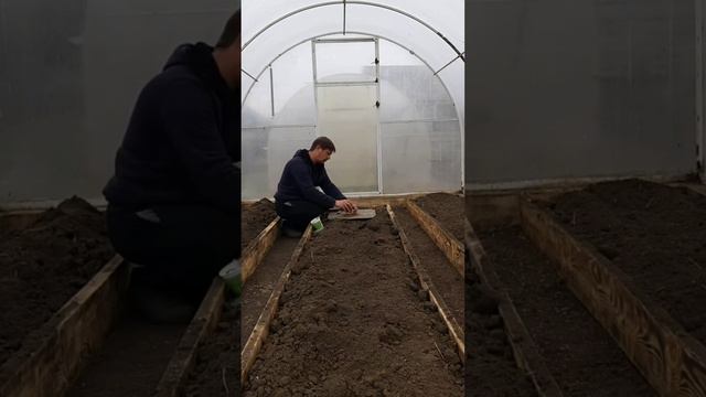 Обжиг теплицы. 
#деревня #деревенскаяжизнь #огород #сад #садовод