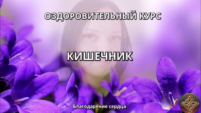 ОЗДОРОВИТЕЛЬНЫЙ КУРС КИШЕЧНИК