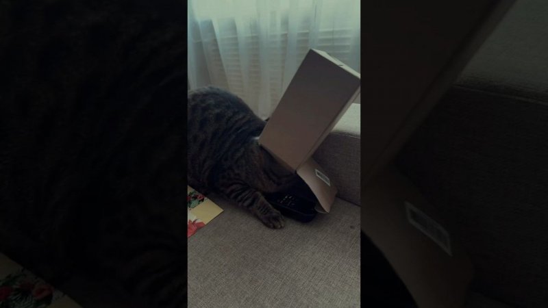Мотивация от Локи #мем #мотивациянауспех #юмор