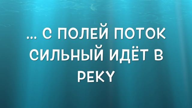 р.Нерская в мае..mp4