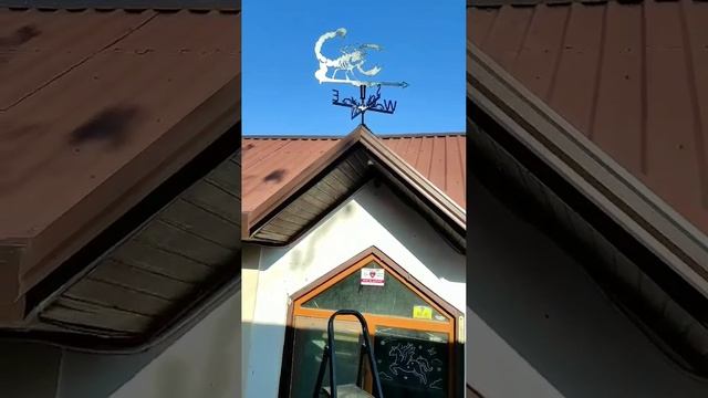 Отзыв за флюгер "Скорпион"