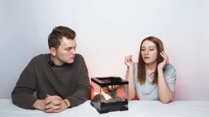 Выбираем ПЕРВОГО паука: ТОП-3 невероятных вида для твоего дома!