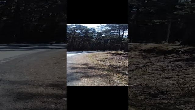 по автомобильной трассе подъём на о. Патмос (Алтай).mp4