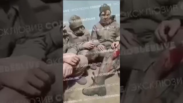 пленные всу???? Этим повезло. Живые. 
Накормят, медицинскую помощь окажут#