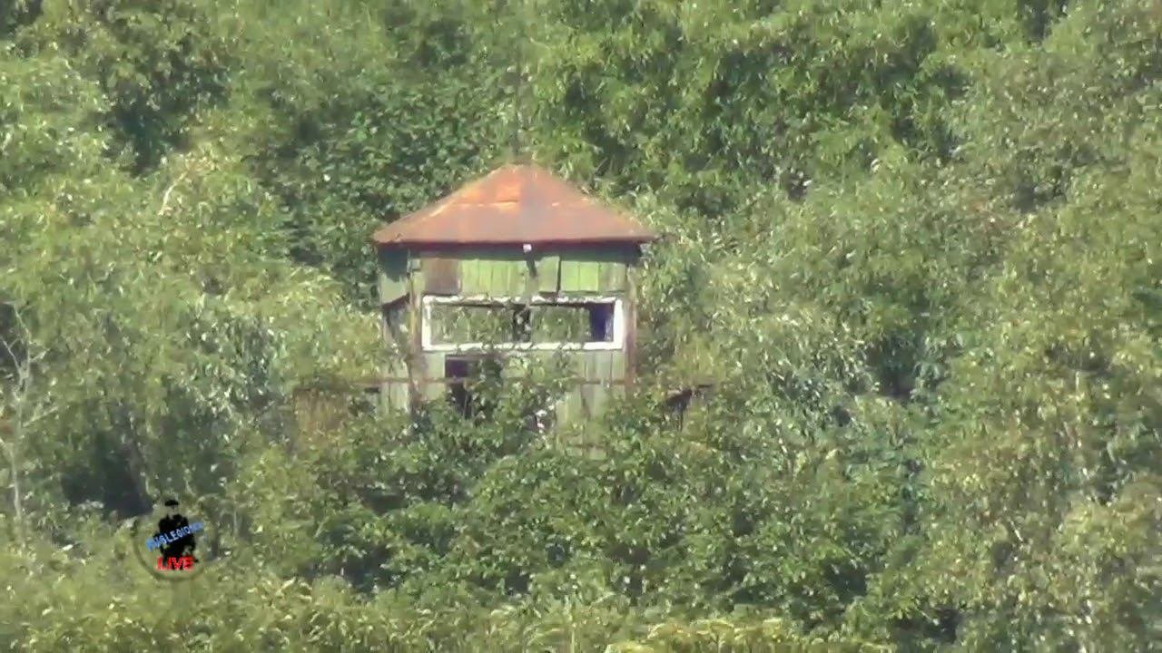 Помпеевка. Вид с Амура.