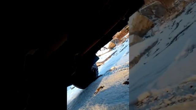 Тойота Хайлюкс Гудок