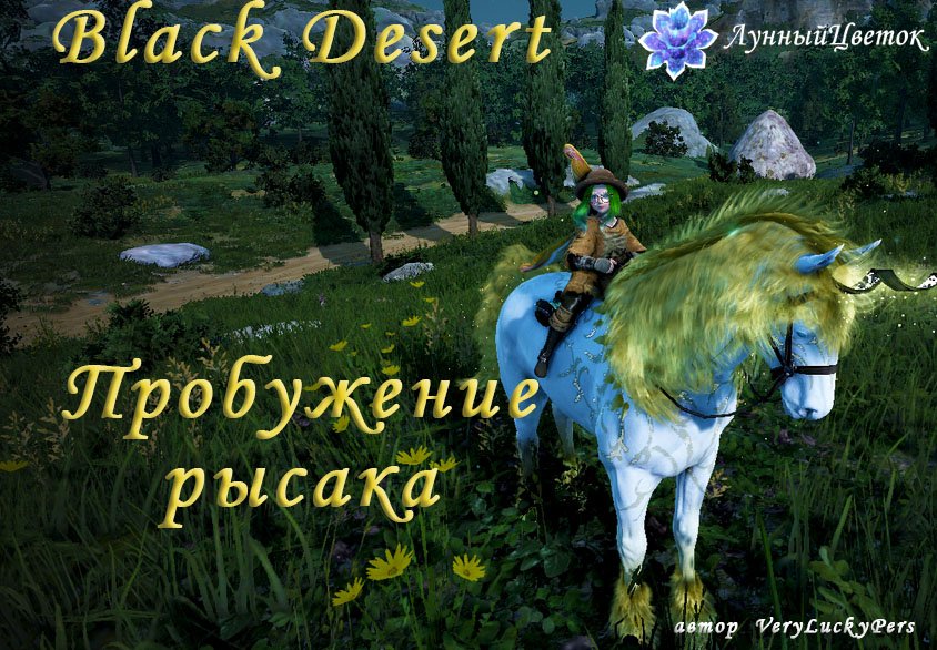 Black desert. Пробуждение рысака!