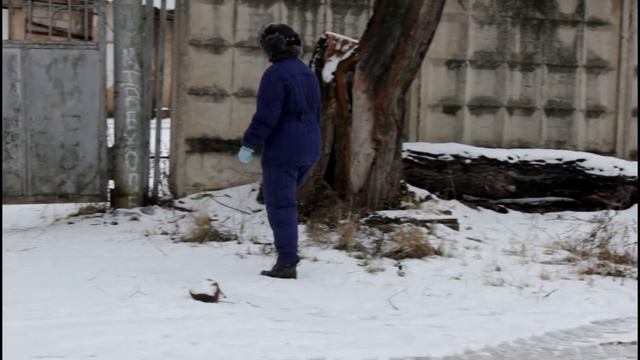 Город с характером: 14 серия - Дмитровская база хлебопродуктов