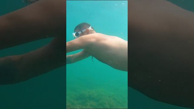Чистое море