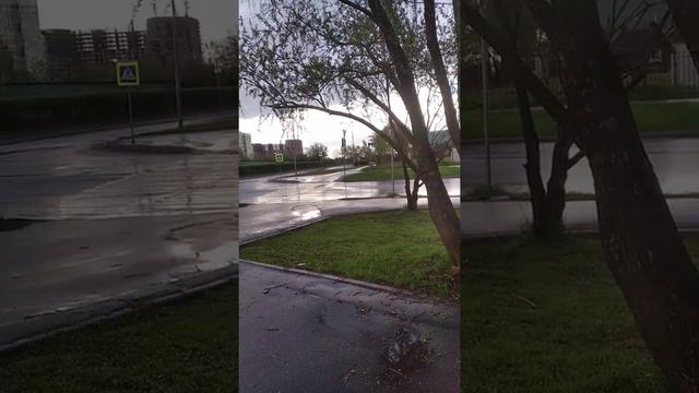 Новокосино 6в1 Самокат Магнит,К&Б,Арника, Усатый-Полосатый. #восточныйокруг #новокосино #суздальска