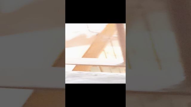 побег от бешеный бабки и деда (часть 1/2)