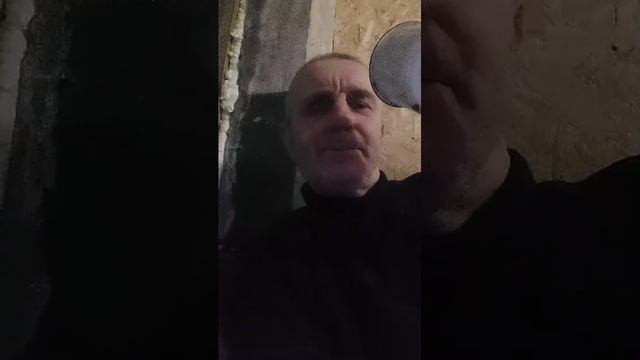Чаек