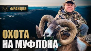 ОХОТА С ДЕНИСОМ МОРОЗОВЫМ В ФРАНЦИИ | ЧАСТЬ 2 | ОХОТА НА СЕРНУ И КОРСИКАНСКОГО МУФЛОНА