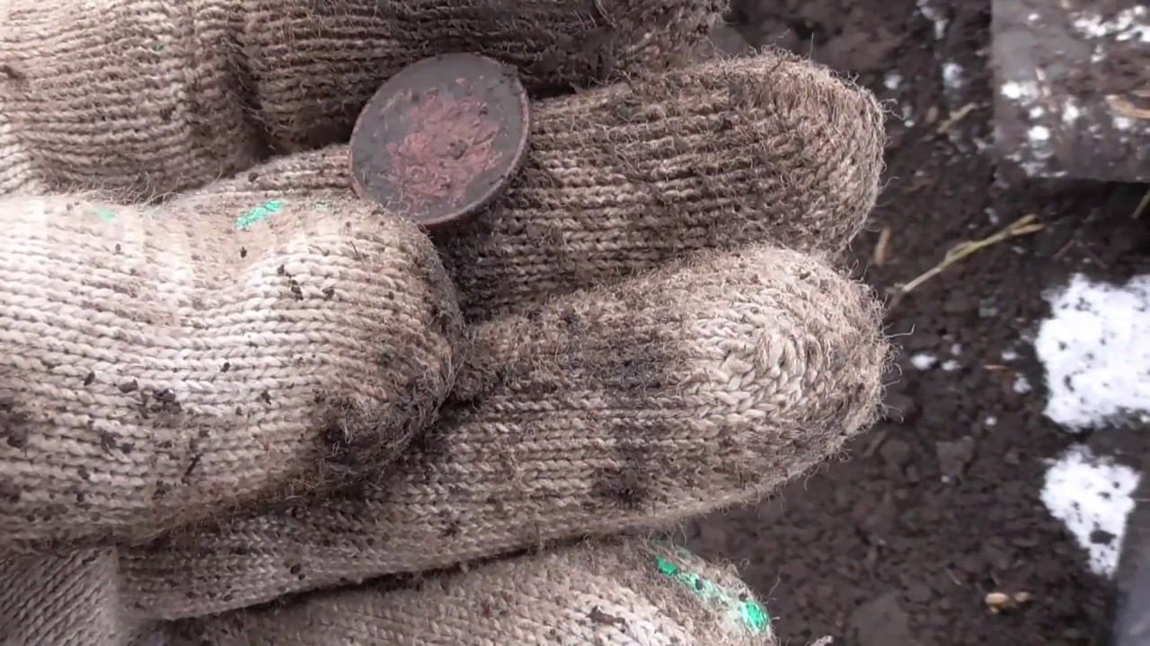 Ветер,снег а я копаю))))