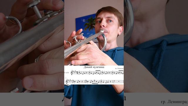 Дикий мужчина - Ленинград