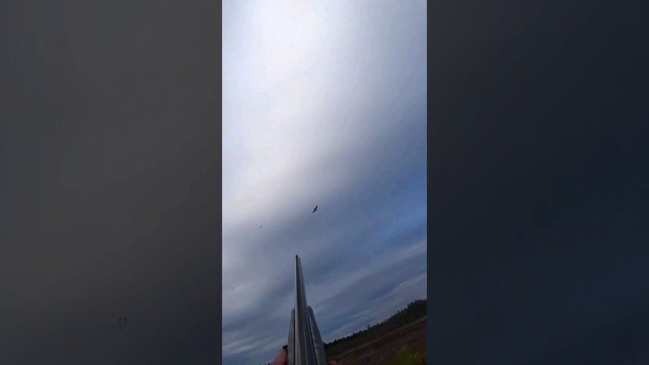 С Охоты На рыбалку на RUTUBE: 157 видео – смотреть онлайн и бесплатно ...