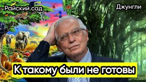 Новости из Telegram...Жалобы Борреля...