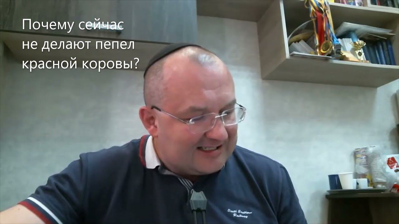 Почему сейчас не делают пепел красной коровы? Недельная глава Хукат