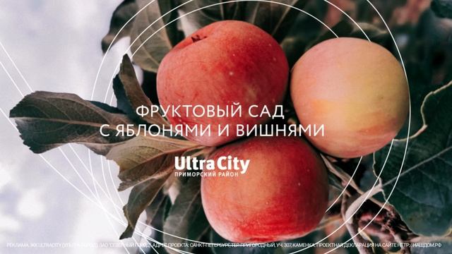 ULTRA CITY
